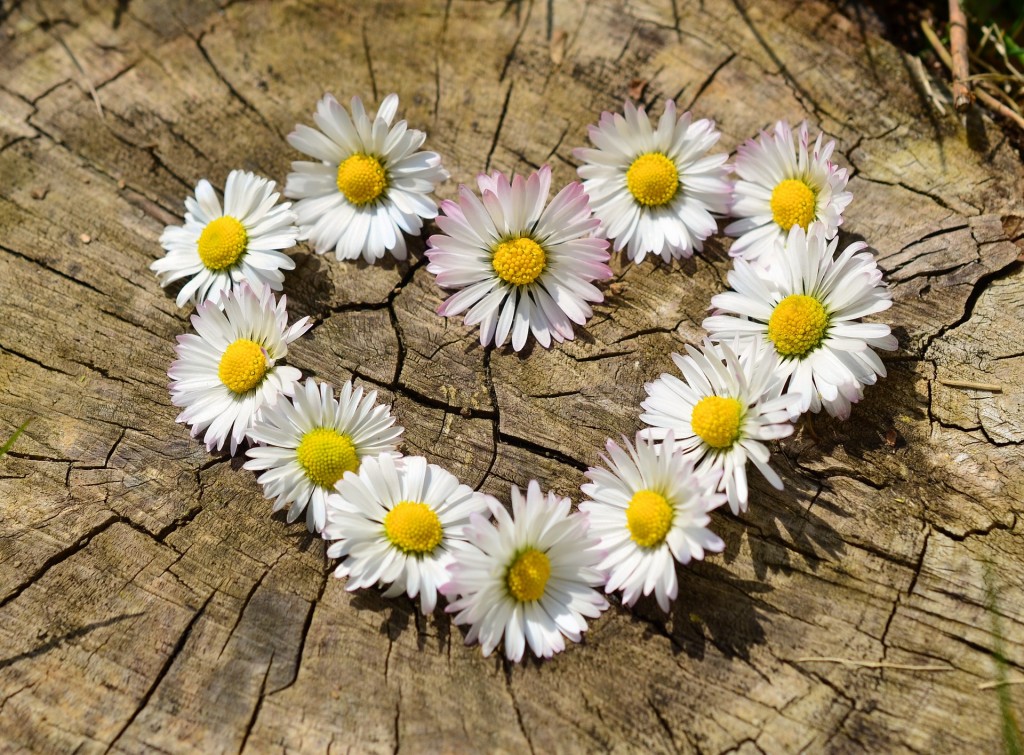 The Importance Kindness Plays In Eating Disorder Recovery - Z Zoccolante